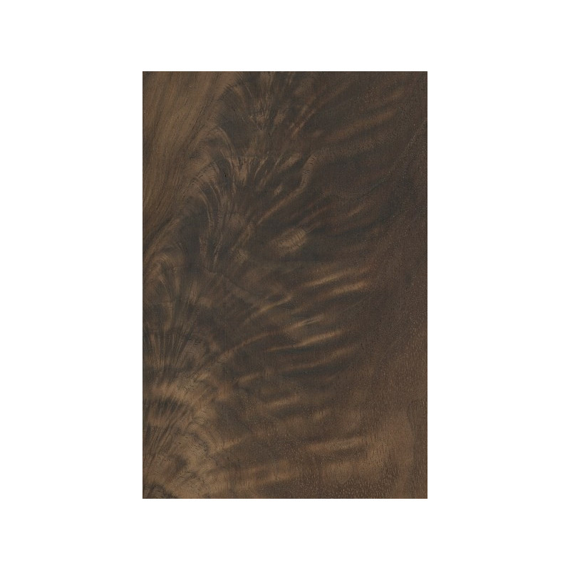 Walnut / Okkerneut - American